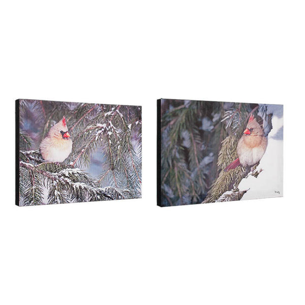 Winter Cardinals In The Pines Canvas Prints 71024 | Buffalo Trader Online